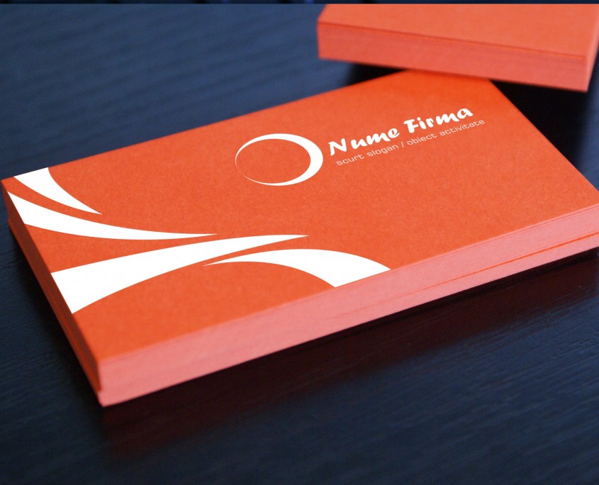 Modele carti de vizita – Turism 02 | Carti de vizita - INKU - Modele online